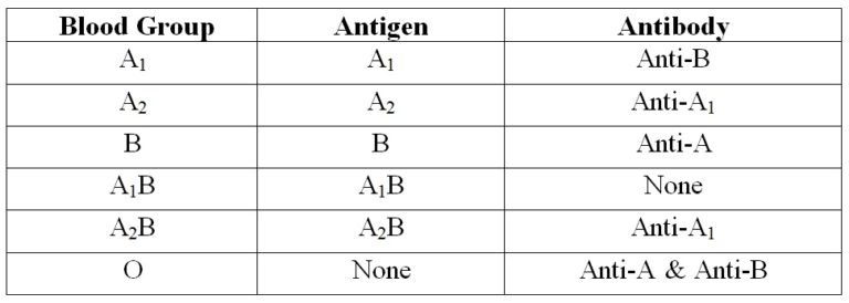 ABO Blood Group System & It's Determination - MedicoInfo