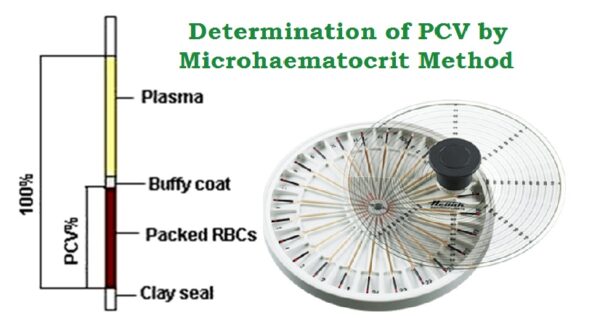 Determination of Hematocrit (Packed Cell Volume) - MedicoInfo